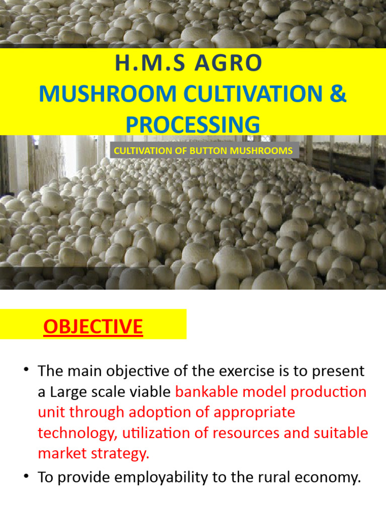 Mushroom Cultivation & Processing | PDF | Edible Mushroom
