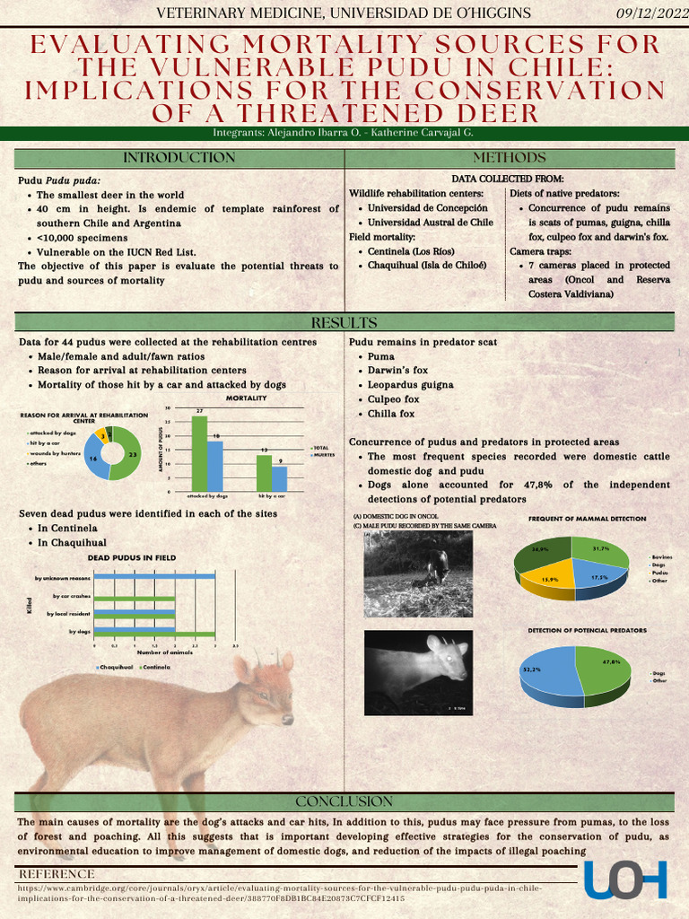 Pudu En Peligro De Extincion Pdf Deer Zoology