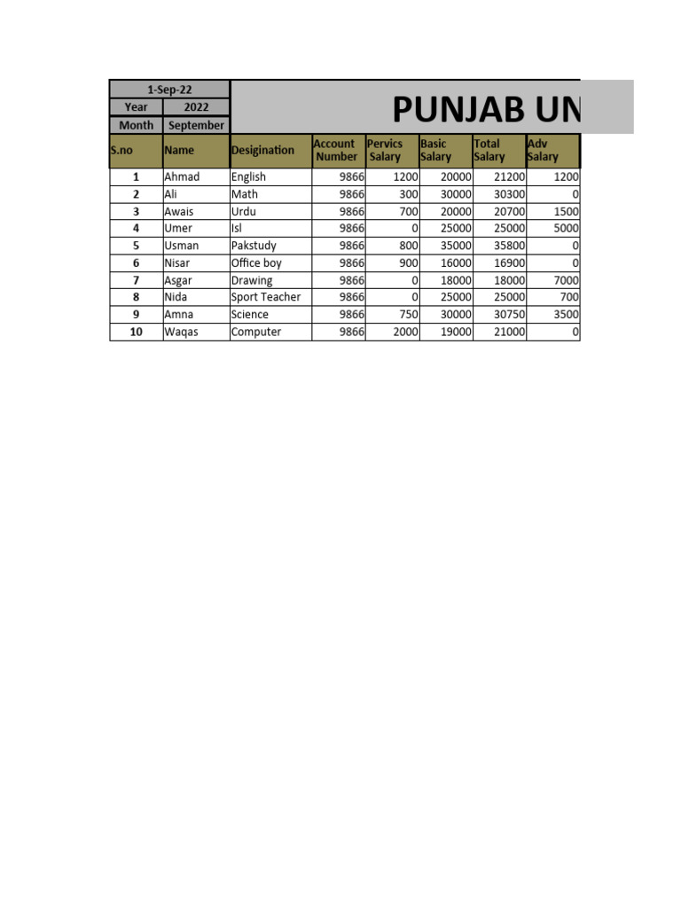 Salary Sheet | PDF