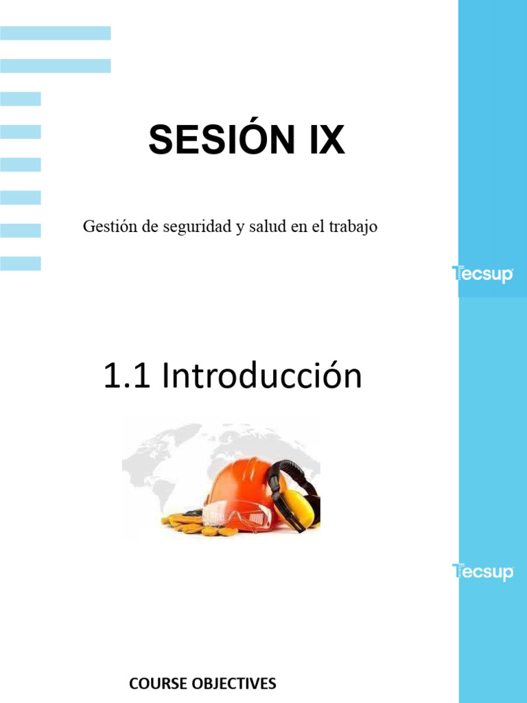 Ppt S09 Implementación De Sgsst Pdf