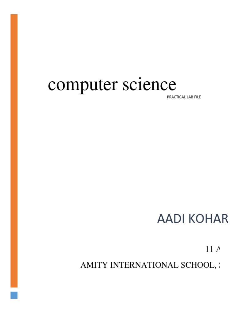 CS Practicle File | PDF