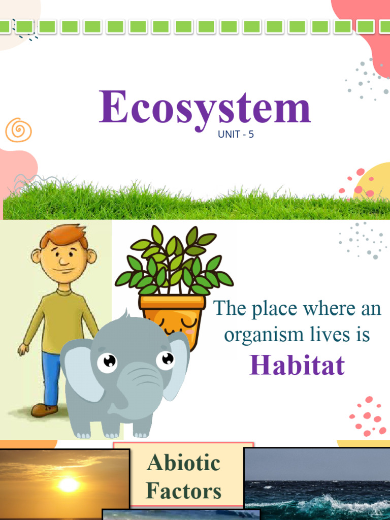 Unit 5 - Ecosystem (Biotic and Abiotic Factors) | PDF | Ecosystem | Earth Sciences