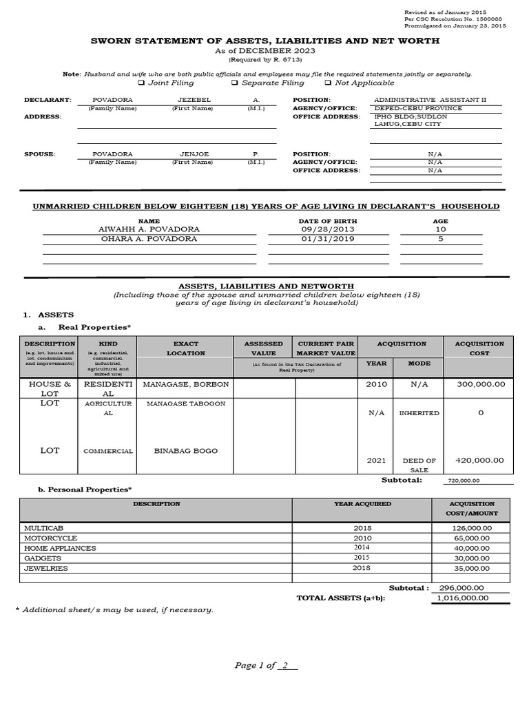 Saln Blank Form | PDF | Net Worth