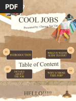 Water Slide Tester Job Overview | PDF