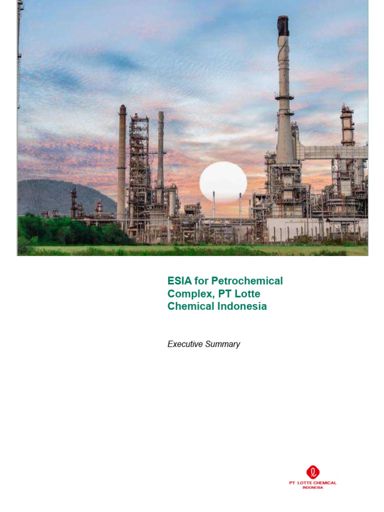 ESIA Report Executive Summary | PDF | Environmental Impact Assessment ...