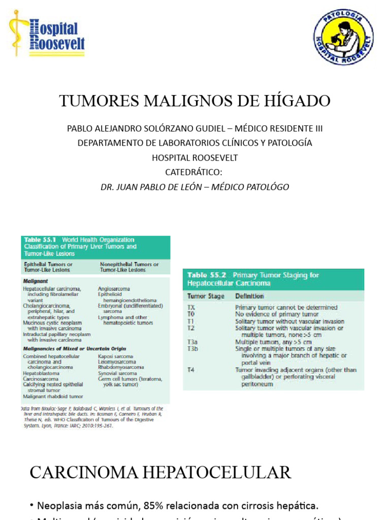 Tumores Malignos Del Hígado | PDF | Sarcoma | Neoplasias