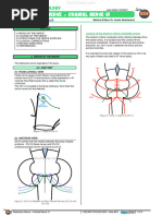 CQB Entry Techniques | PDF | Door | Military
