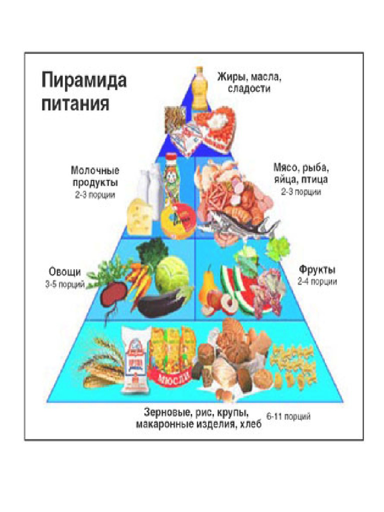 Guia Alimentaria Rusa | PDF