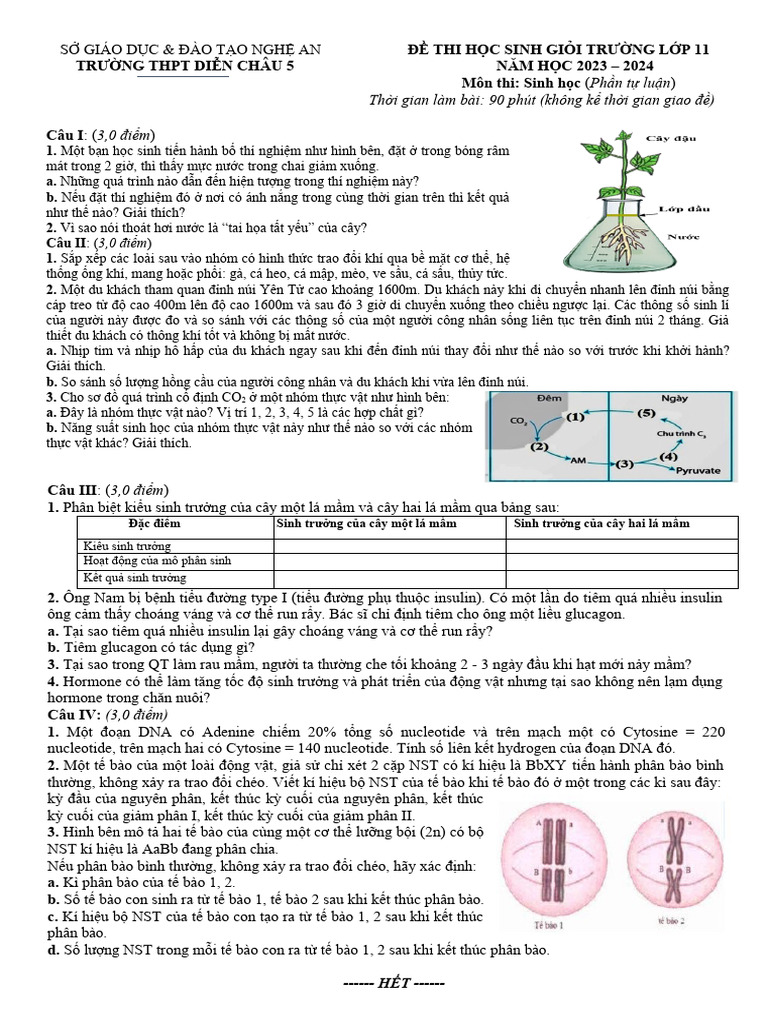 ĐỀ, ĐÁP ÁN TL THI HSG TRƯỜNG MÔN SINH 11 - 2023-2024 DC5 | PDF