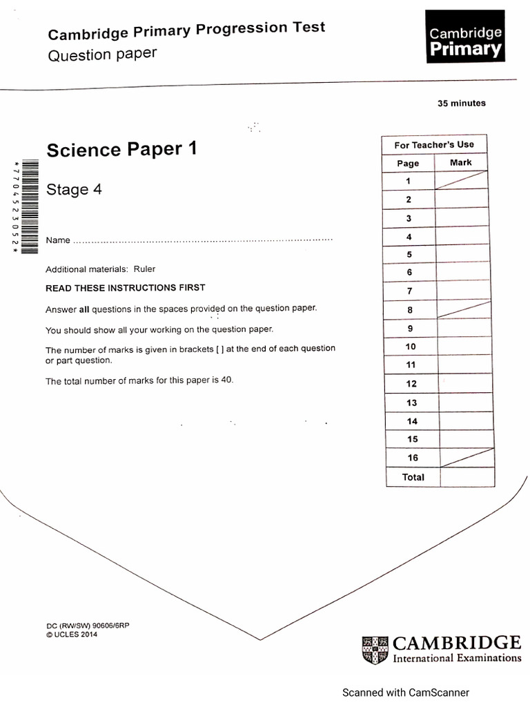 Science P1 S4 | PDF