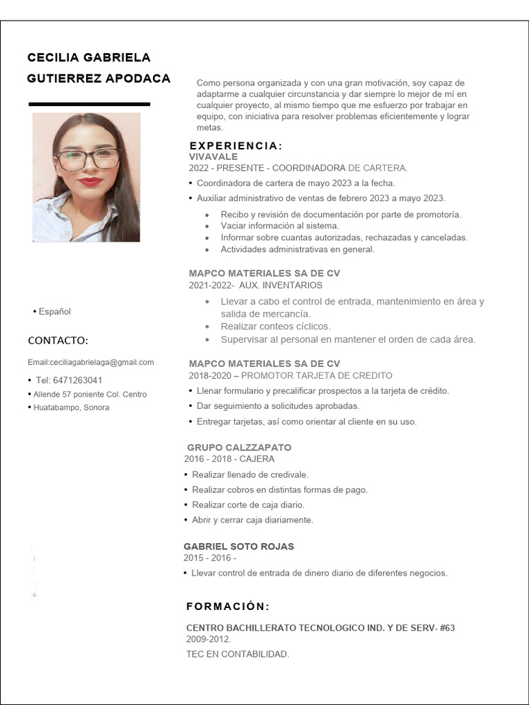 Curriculum Cecilia G.G.A. | Descargar gratis PDF | Business