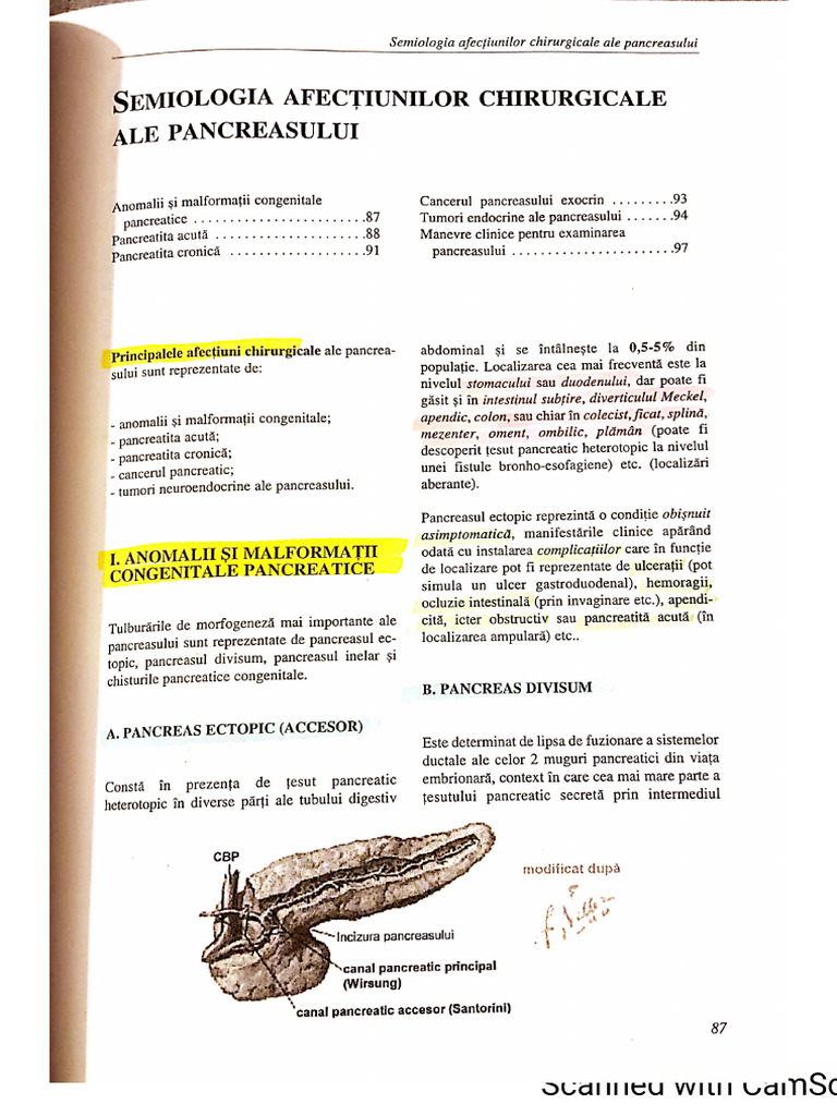 Pancreas | PDF