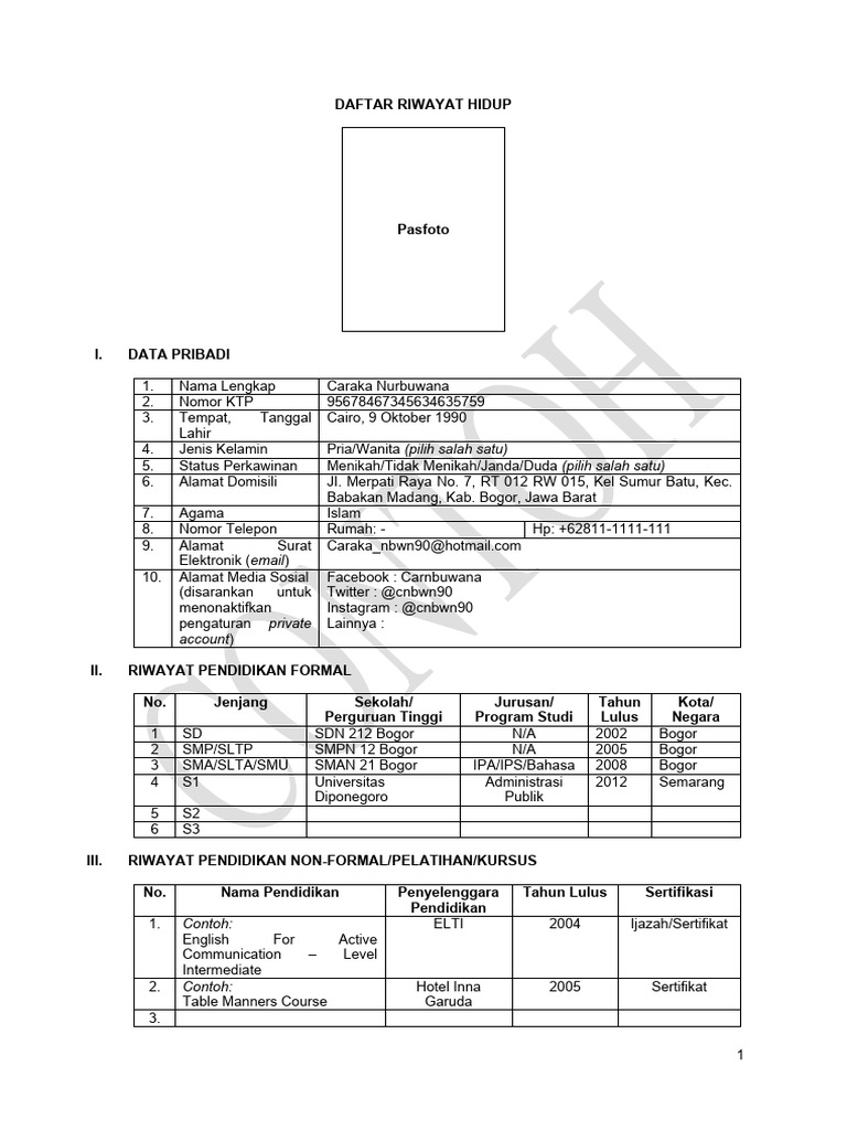 Contoh Daftar Riwayat Hidup A4 | PDF