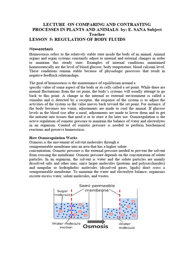 Lecture Lesson 5 9 Gen Bio 2 E. Sana | PDF | Plant Hormone | Nervous System