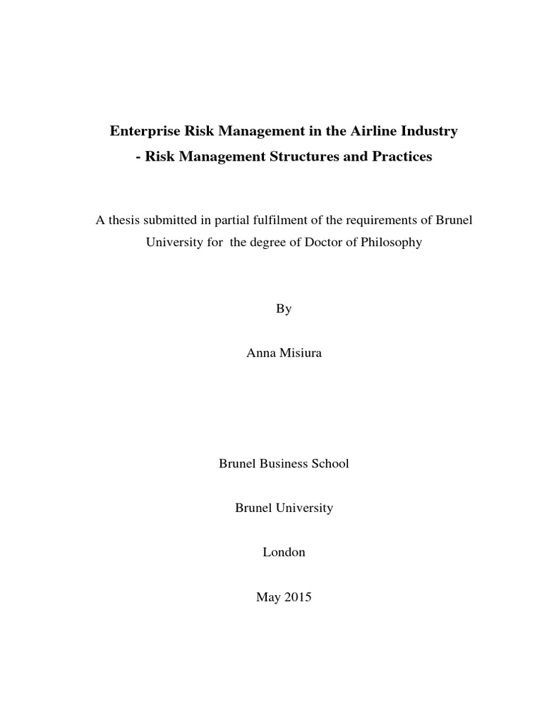 Fulltext Thesis | PDF | Risk Management | Risk