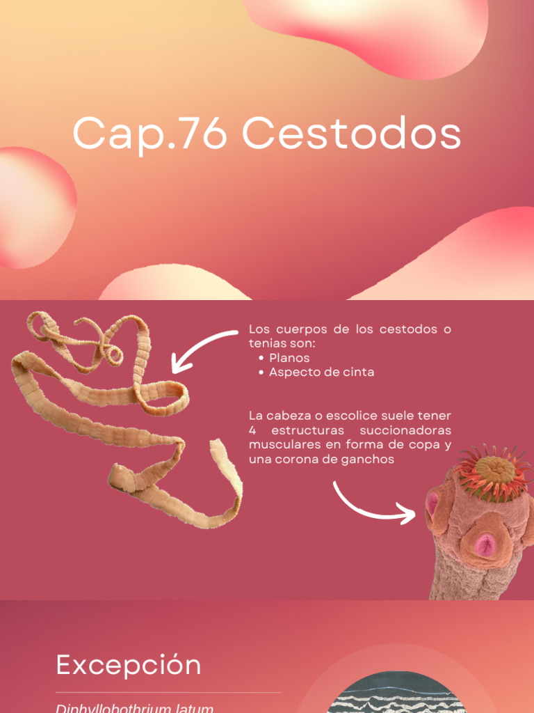 Cestodos | PDF