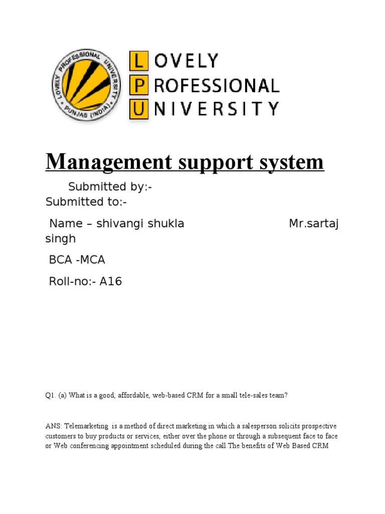 Management Support System | PDF | Customer Relationship Management ...