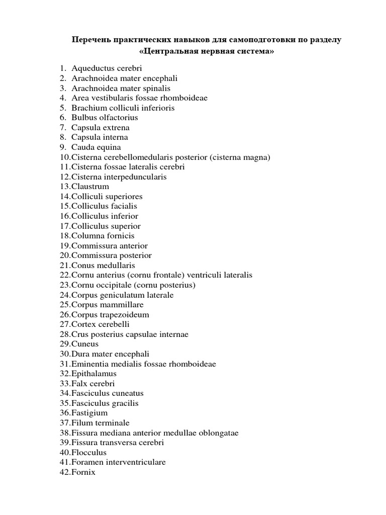 Prakt Modul 6 CNS | PDF | Cerebro | Cerebro