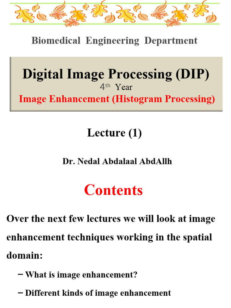 DIP Lecture | PDF | Image Editing | Digital Signal Processing