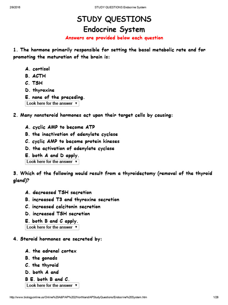 Endocrine System Study Questions Guide | PDF | Endocrine System ...