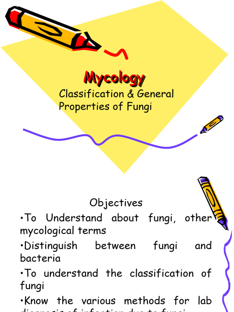 Intro Mycology | PDF | Fungus | Bacteria