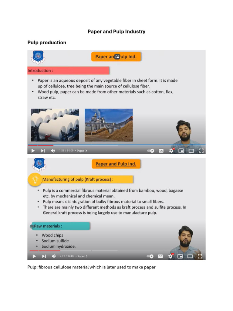 Paper and Pulp Industry | PDF