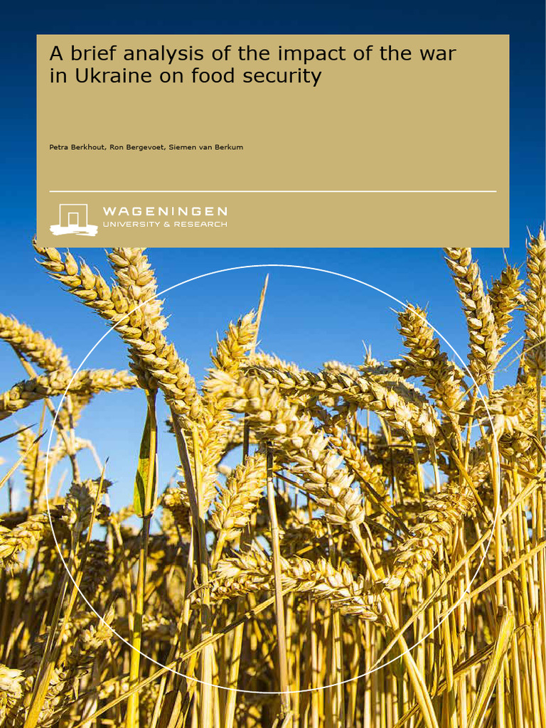 A Brief Analysis of The Impact of The War | PDF | Food Security ...