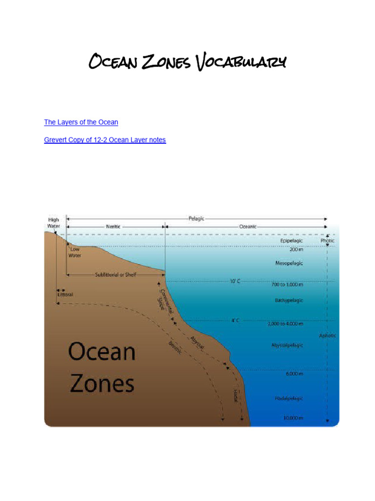 Ocean Zones Vocab | PDF