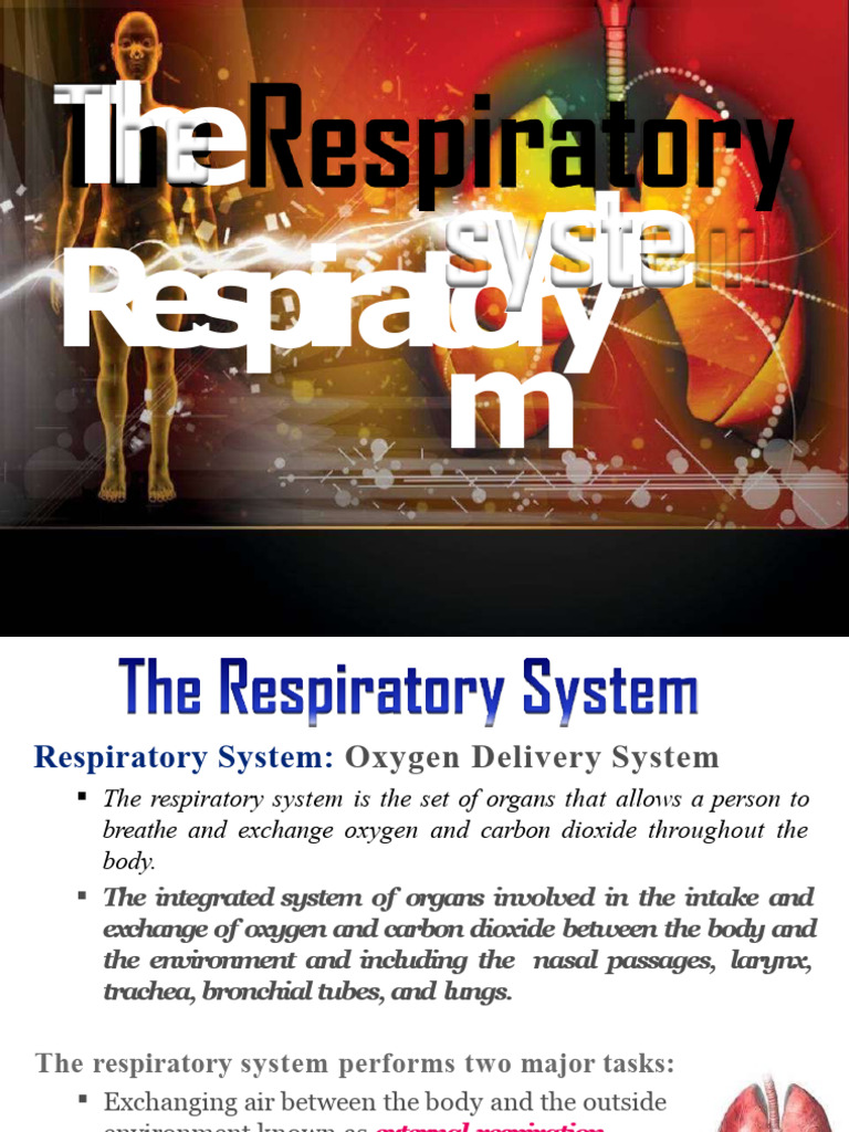 RESPIRATORY SYSTEM PHYSIOLOGY. | PDF | Lung | Respiratory Tract