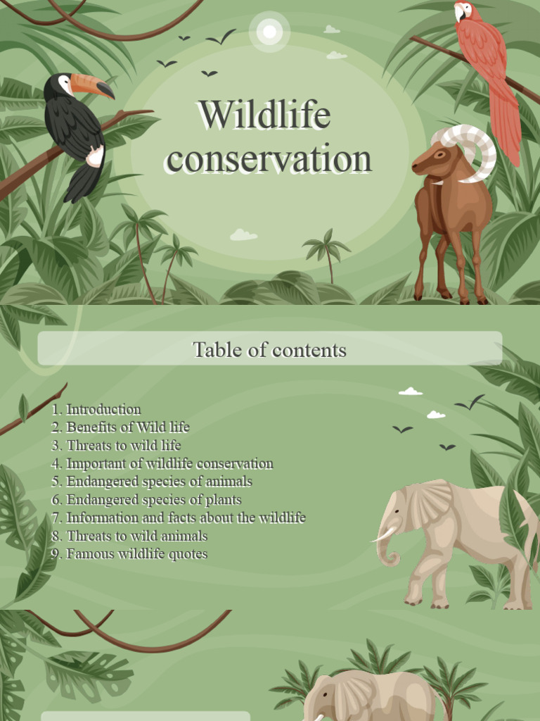 Powerpoint Presentation Nature | PDF | Wildlife | Ecology