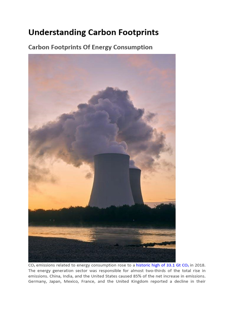 Module 2-Understanding Carbon Footprints | PDF | Carbon Footprint ...