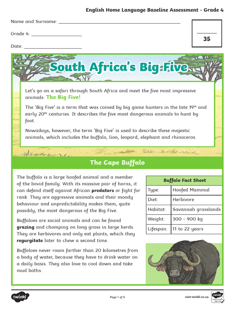 Grade 4 Home Language Baseline Assessment | PDF | Linguistics | Zoology