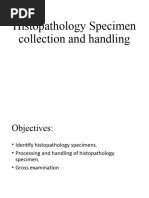 Histopathology Requisition Form | PDF | Histopathology | Biopsy