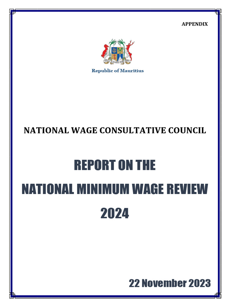 Report On The Minimum National Wage Review 2024 | PDF | Cost Of Living ...