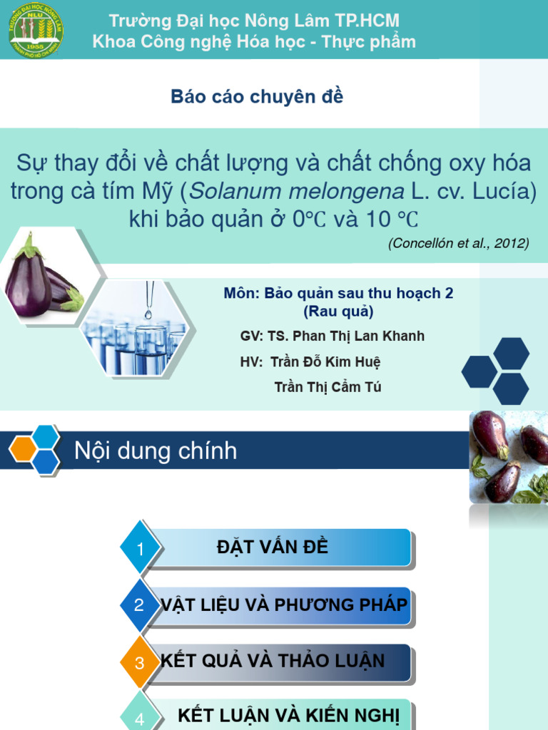 Cnsth1 Nhóm3 Cà Tím | PDF