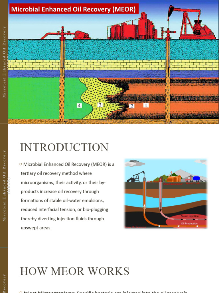 Microbial Enhanced Oil Recovery (MEOR) | PDF | Microorganism | Enhanced ...