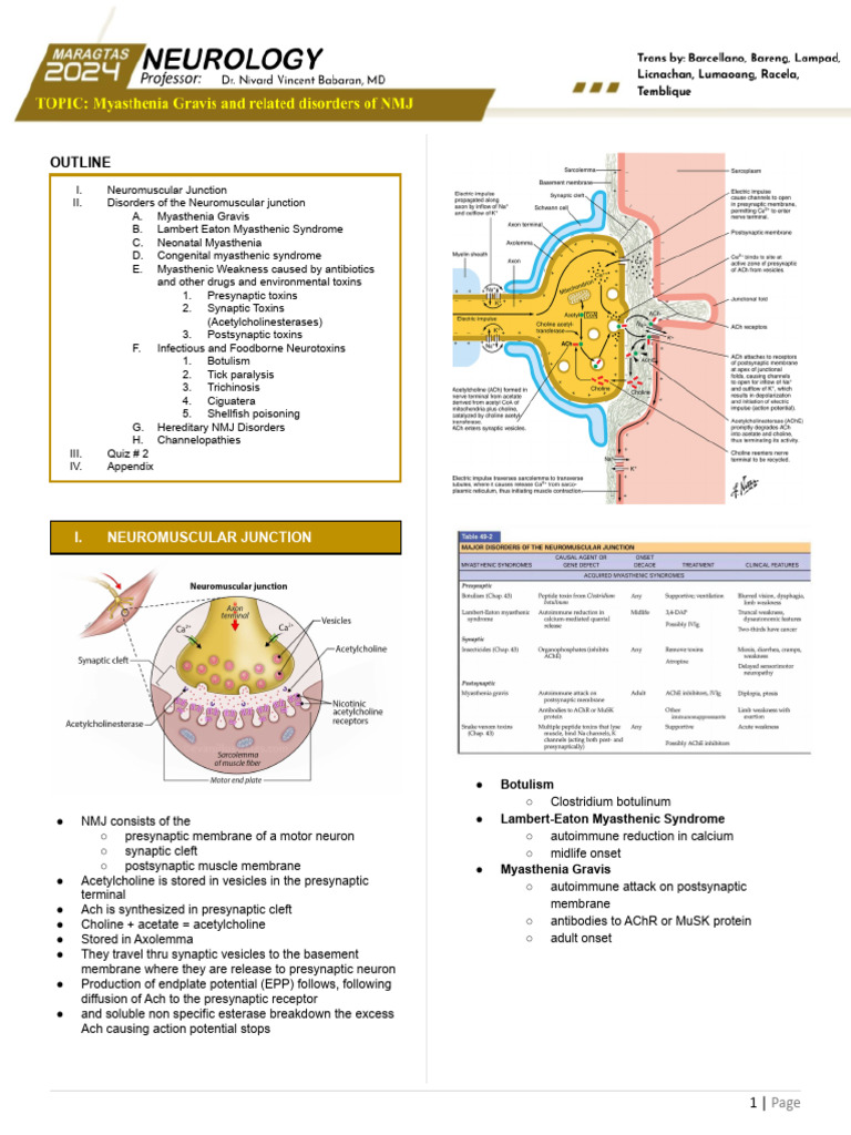2024.neuro - Trans11.myasthenia Gravis and Related Disorders of NMJ | Download Free PDF ...