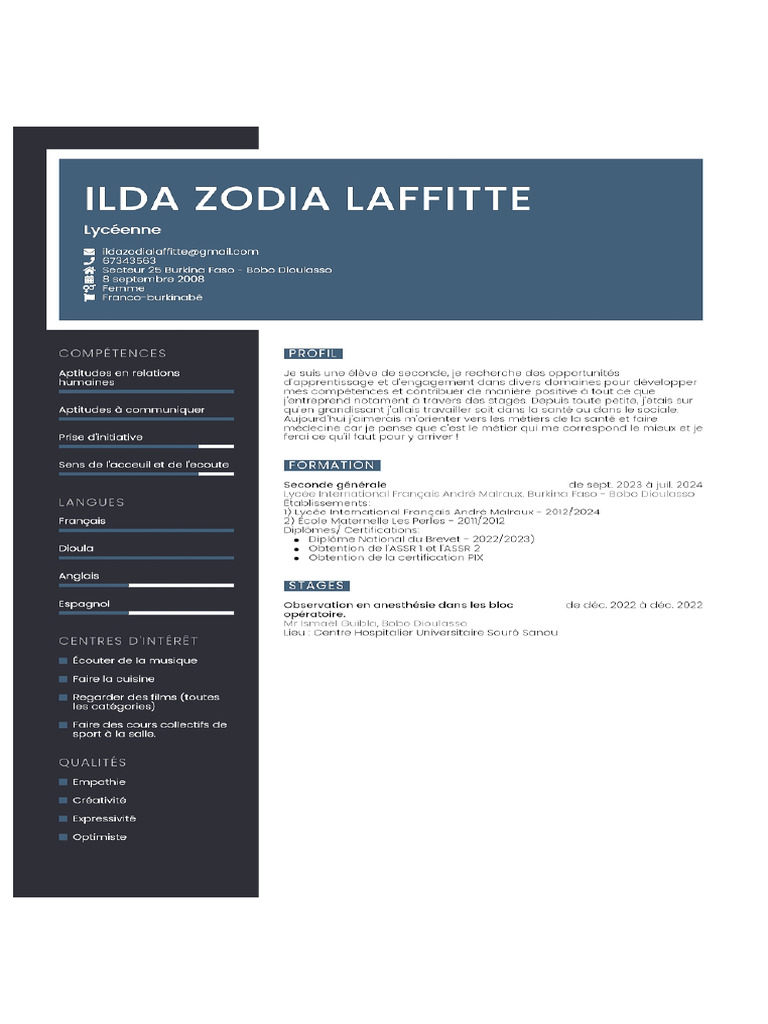 PDF CV | PDF