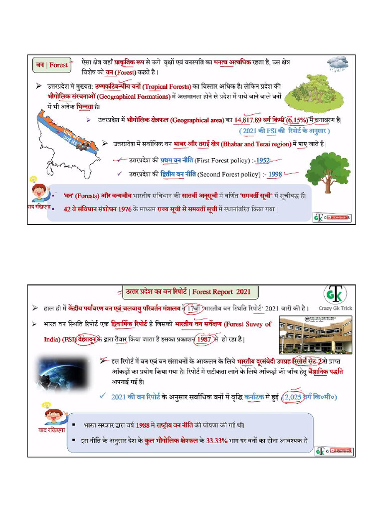 Forest Pdf