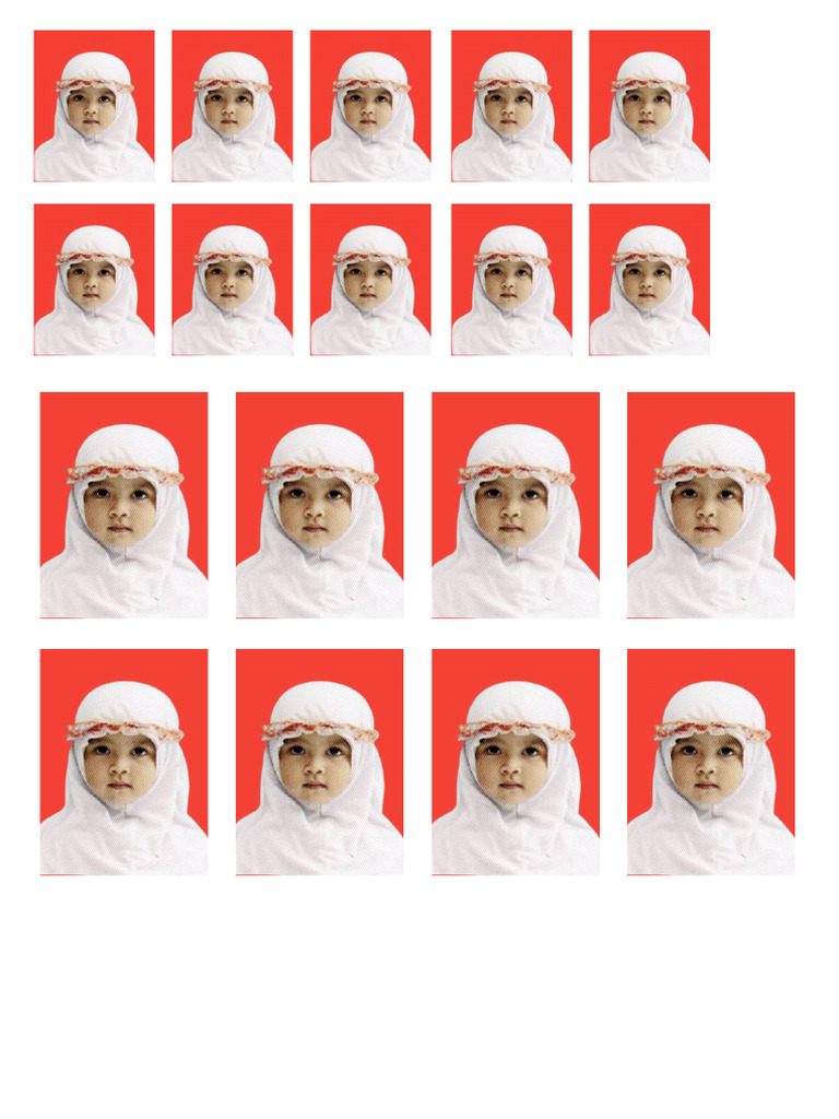 Foto Meiza | PDF
