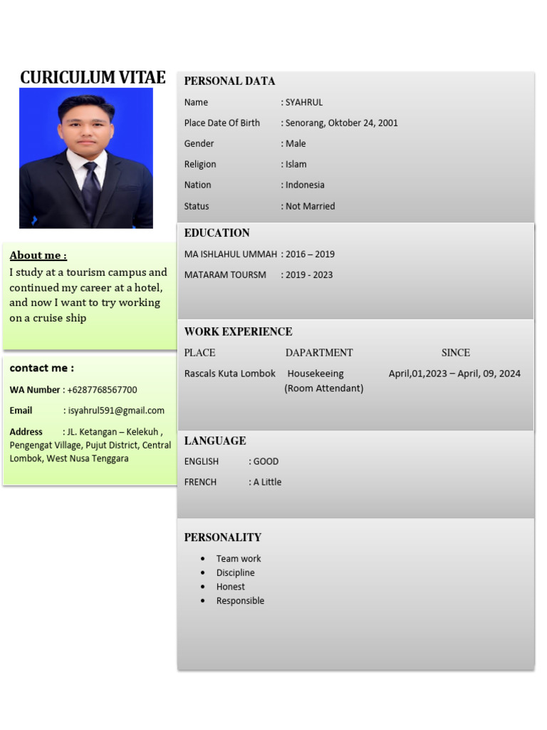 Cruise Ship Job Seeker CV | PDF