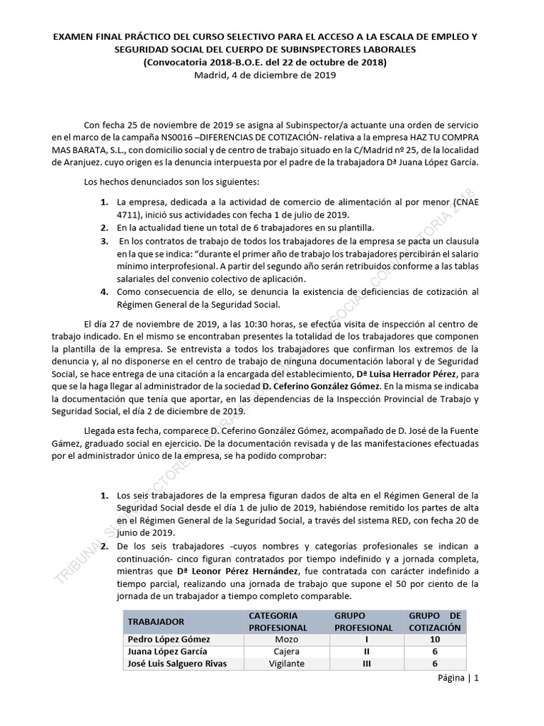 Modelo - Ejer 2018 | PDF | Derecho laboral | Sociedad de responsabilidad limitada