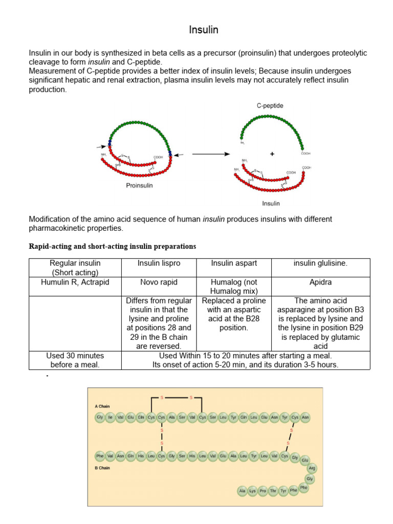 Insulin | PDF | Insulin | Drugs