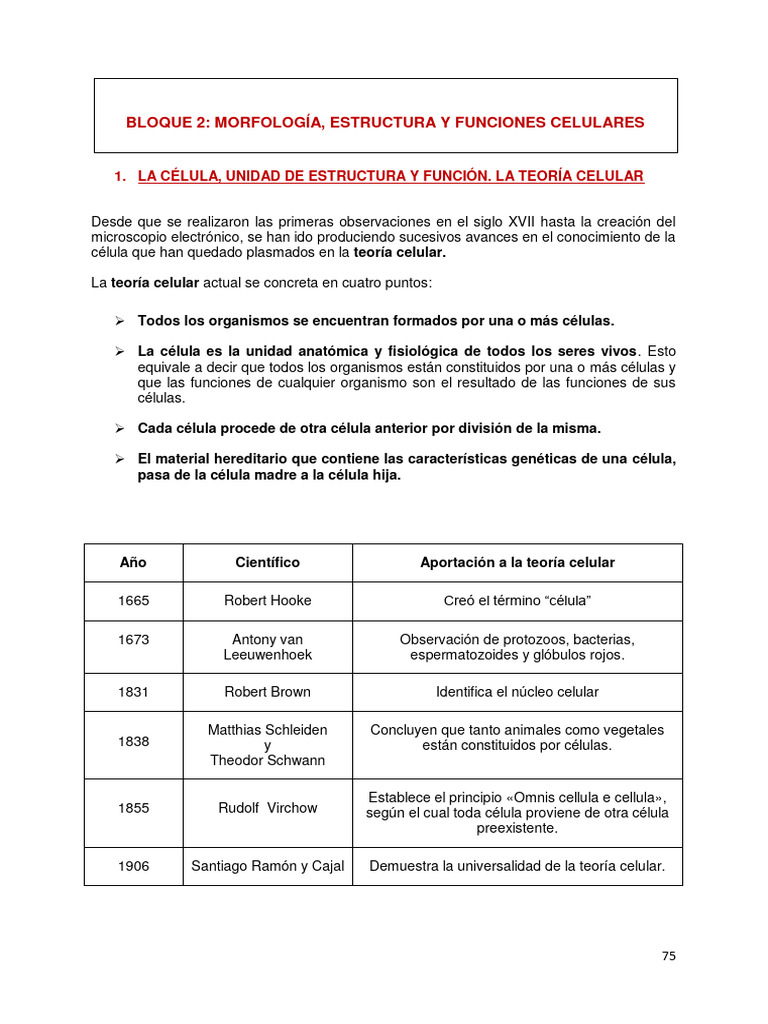 BloqueII Estudioymodelosdeorganizacioncelular | PDF | Biología Celular) | Citoplasma