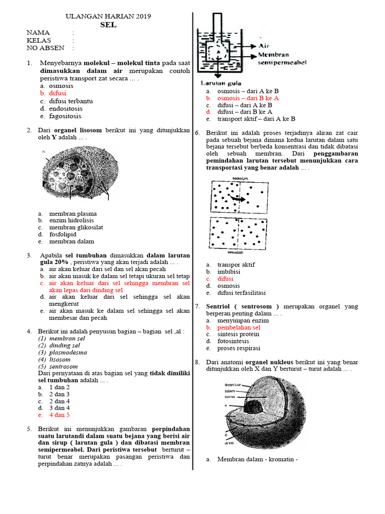 Soal Uh Pilgan Sel Jadi 2020 Plus Kunci | PDF