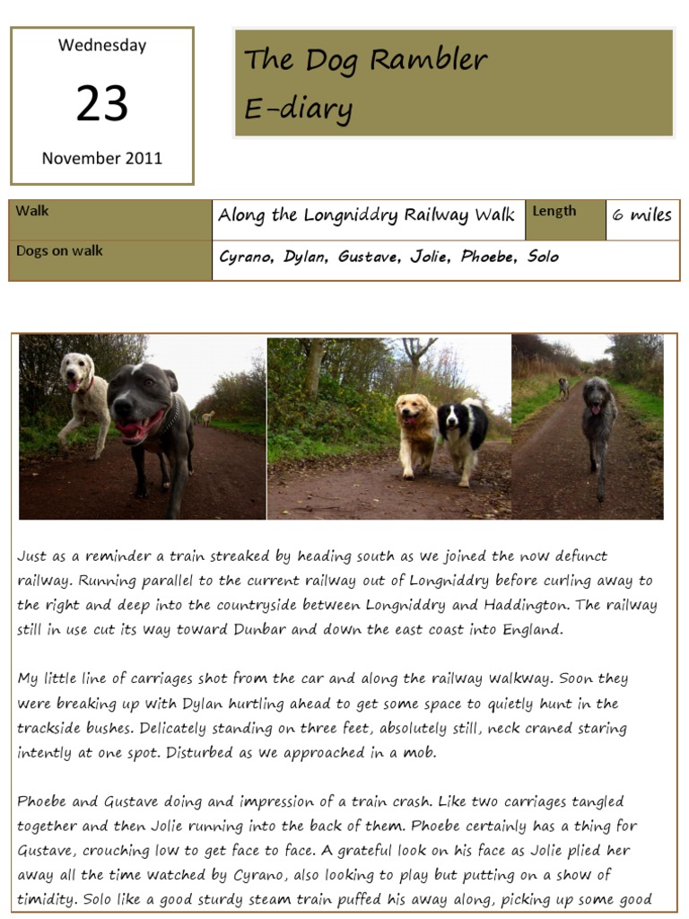 The Dog Rambler E-Diary 23 November 2011 | PDF | Leisure
