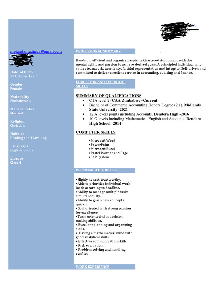 CV Sample 4 | PDF | Audit | Internal Audit