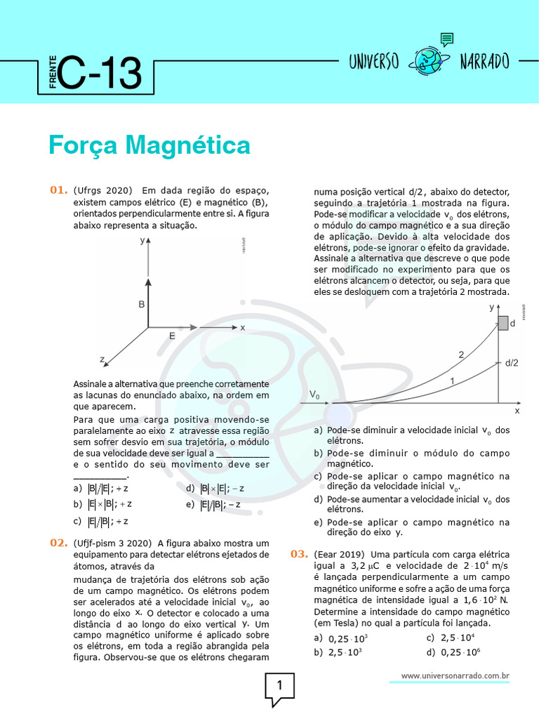 C13 - Exercícios | PDF | Magnetismo | Campo magnético