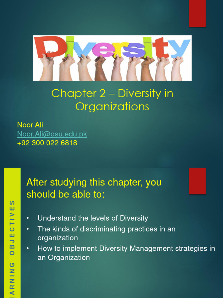 OB Chapter 2 Diversity in Organization - Noor Ali | PDF ...
