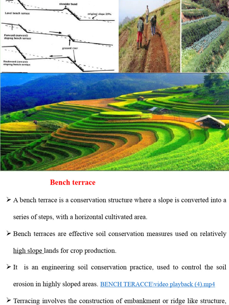 Bench Terrace | PDF | Surface Runoff | Erosion